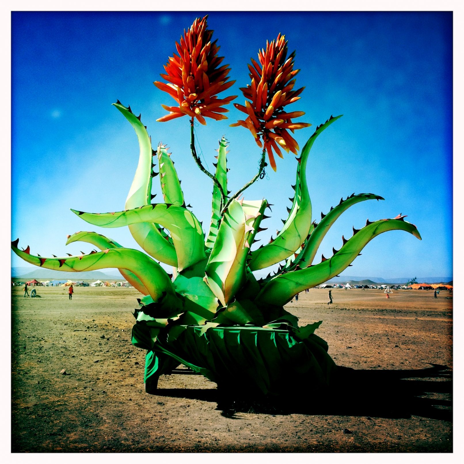 AfrikaBurn - Burning Man Festival in the Tankwa Karoo | Explorers Club