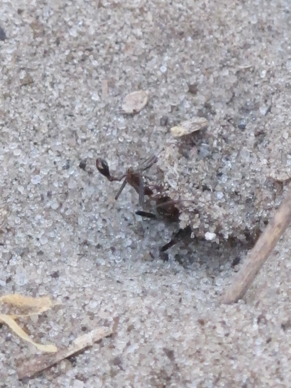 Scorpions, Spiders and Lighting Fires with the Bushmen of Tsumkwe ...
